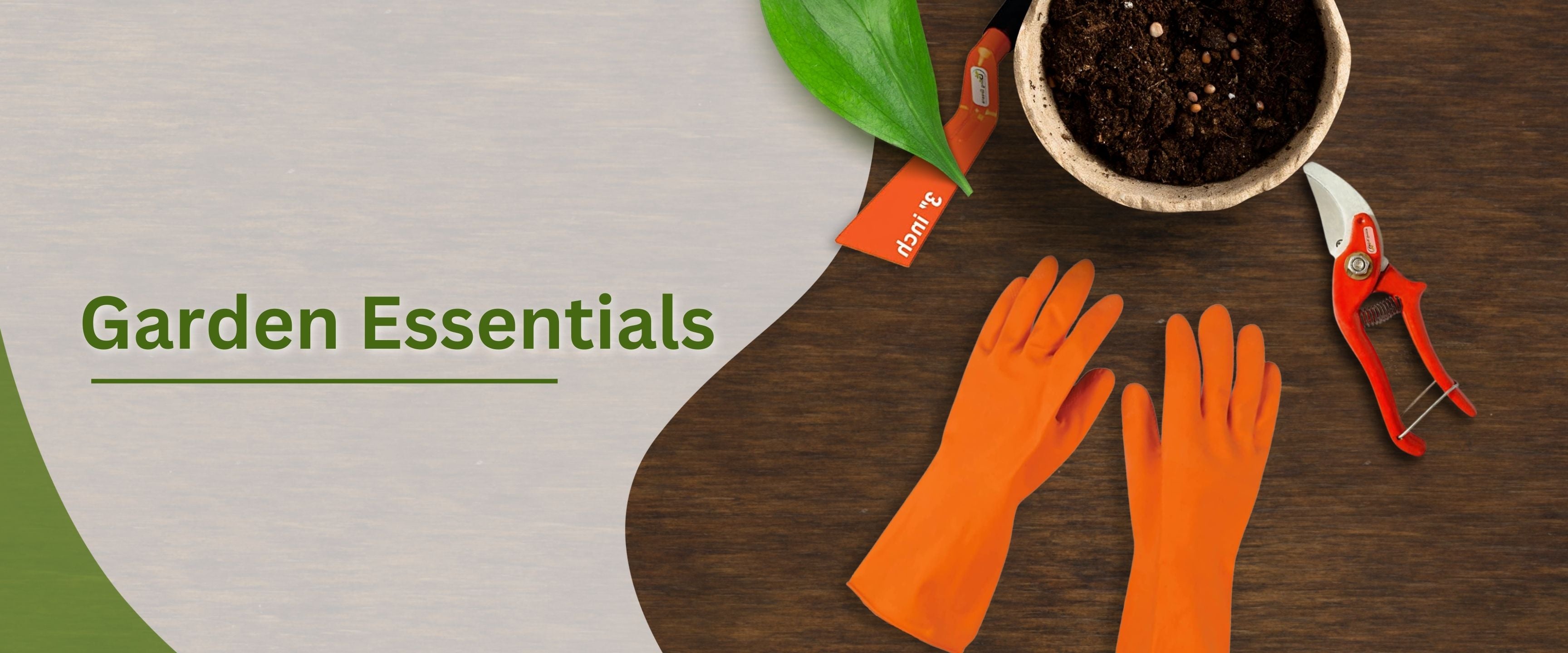 Garden Essentials – Going Greens