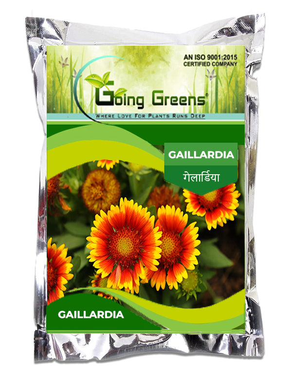 Gaillardia Flower Seeds – Going Greens
