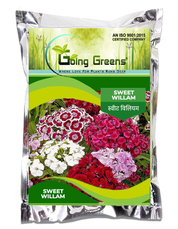 Sweet Willam Flower Seeds – Going Greens