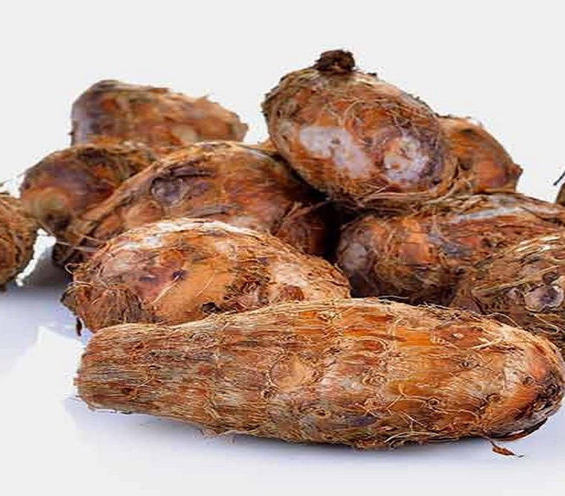 Taro Root (Arbi) Seeds – Going Greens