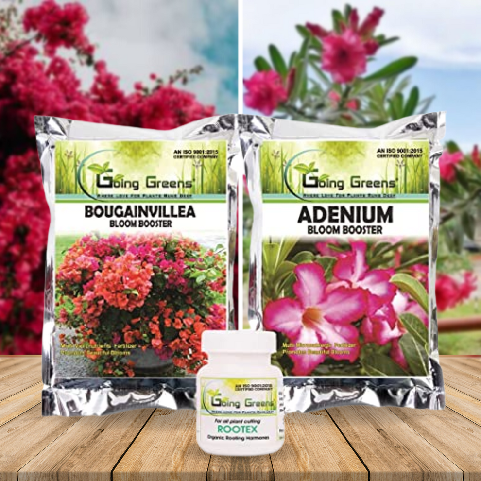 Combo - Bougainvillea Bloom Booster, Adenium Bloom Booster & Rootex ...