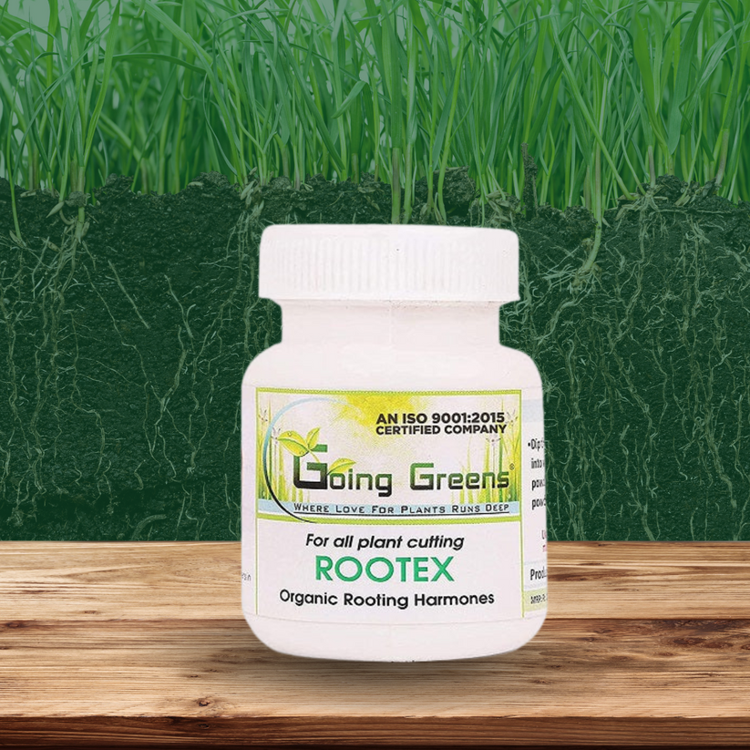 Rootex, Rooting Hormone Powder – Going Greens