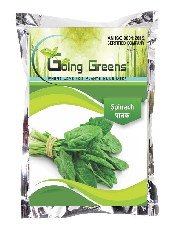 Open Pollinated Spinach Seeds Palak Going Greens